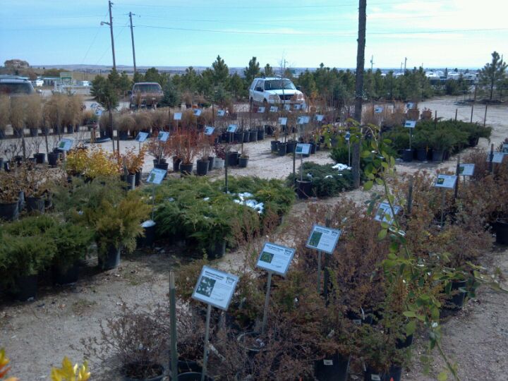 Heidrich's Colorado Tree Farm Nursery - Colorado Springs, CO 80923