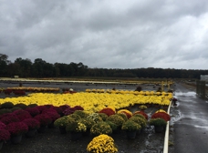Gasko's Family Farms - Monroe Township, NJ 08831