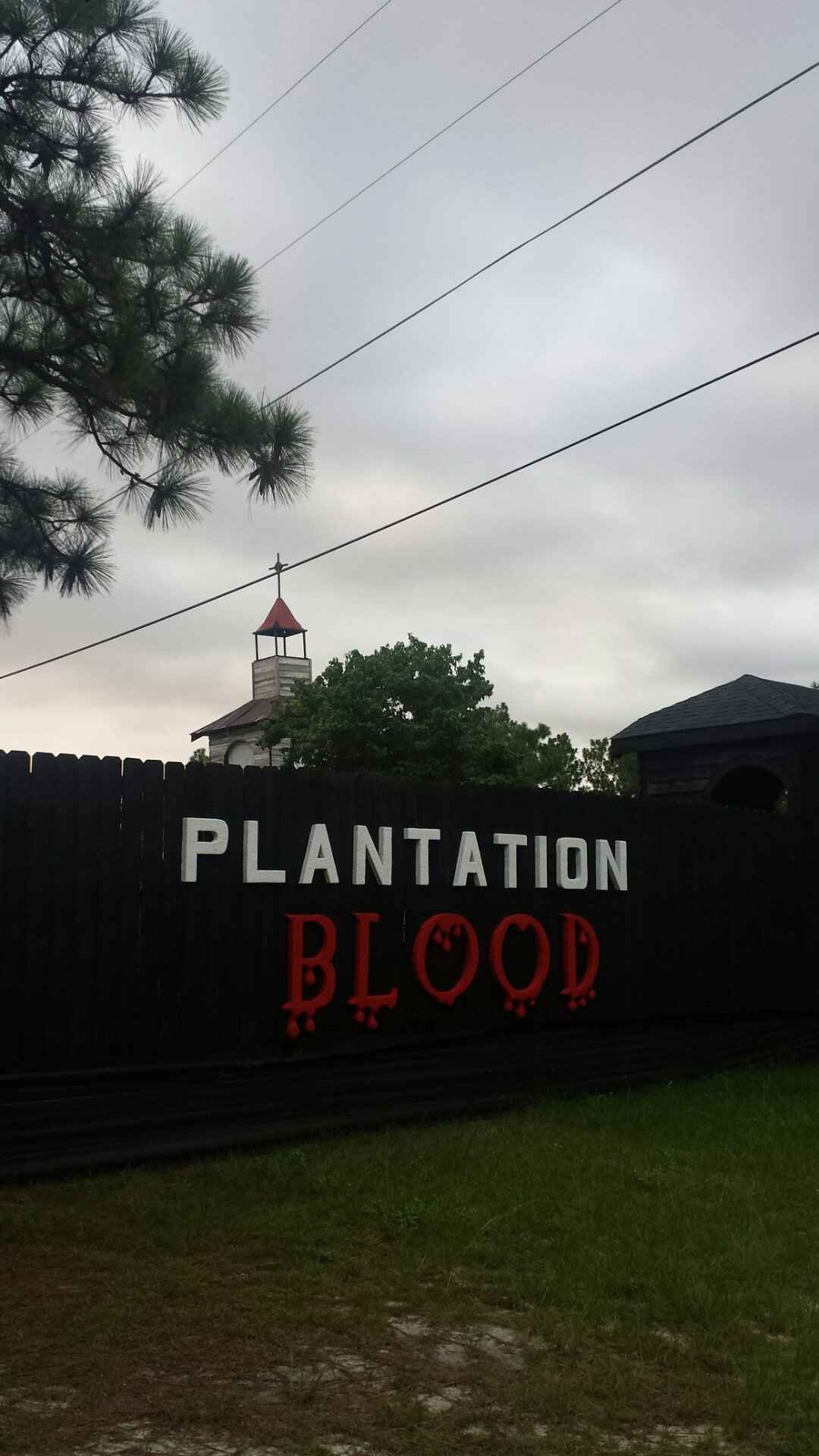 Plantation Blood - Augusta, GA 30906