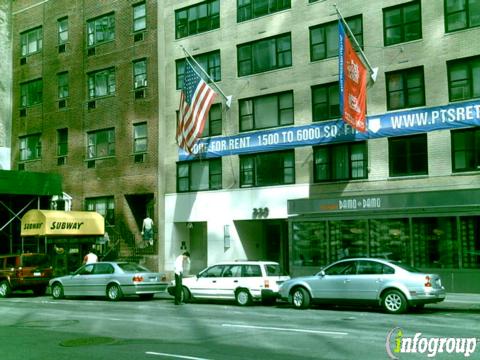 Dr. Ronnie L. Levine, PHD - New York, NY 10019