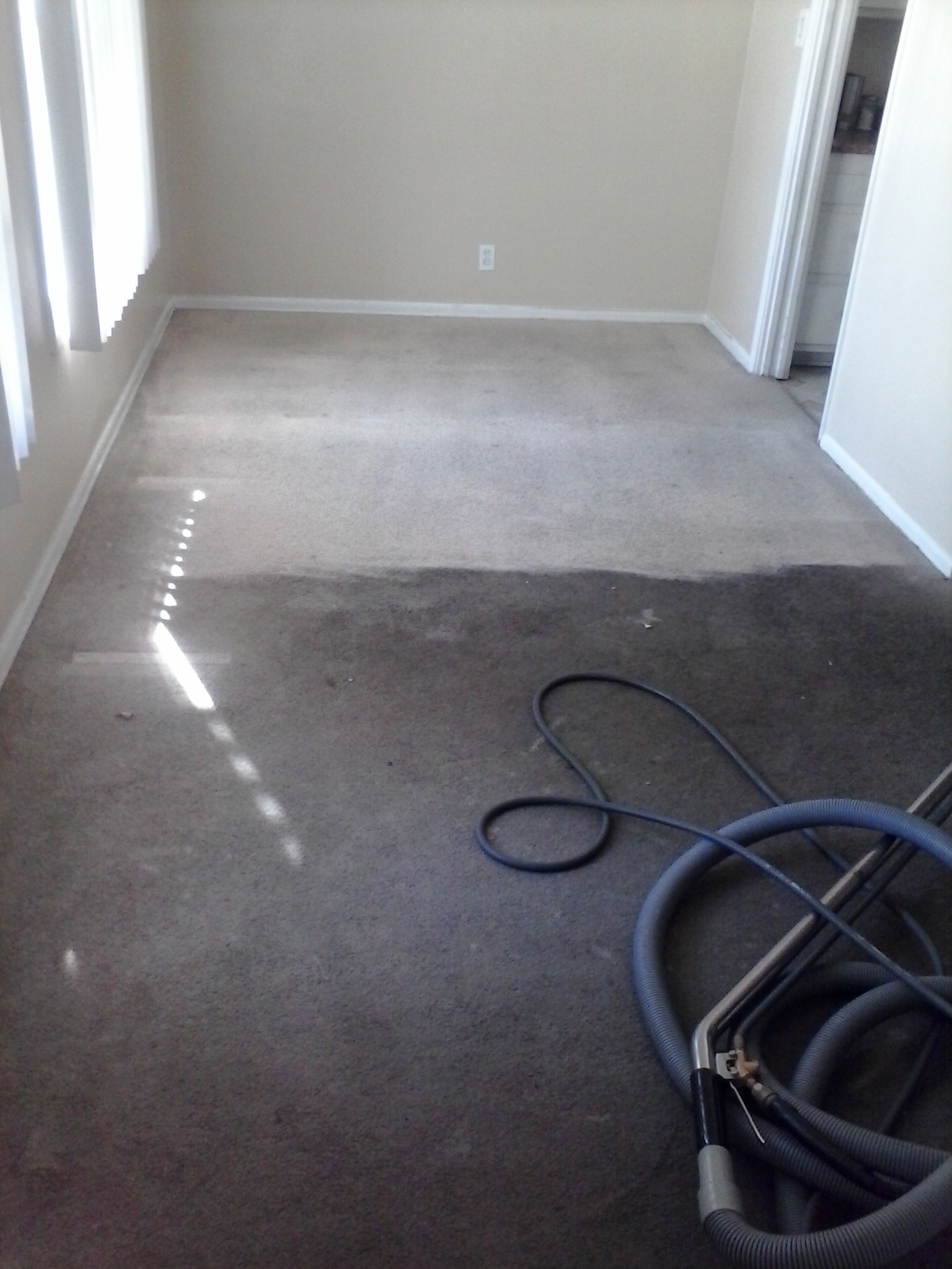 Larsen's $99 Full House Carpet Cleaning Deal - Wrightwood, CA 92397
