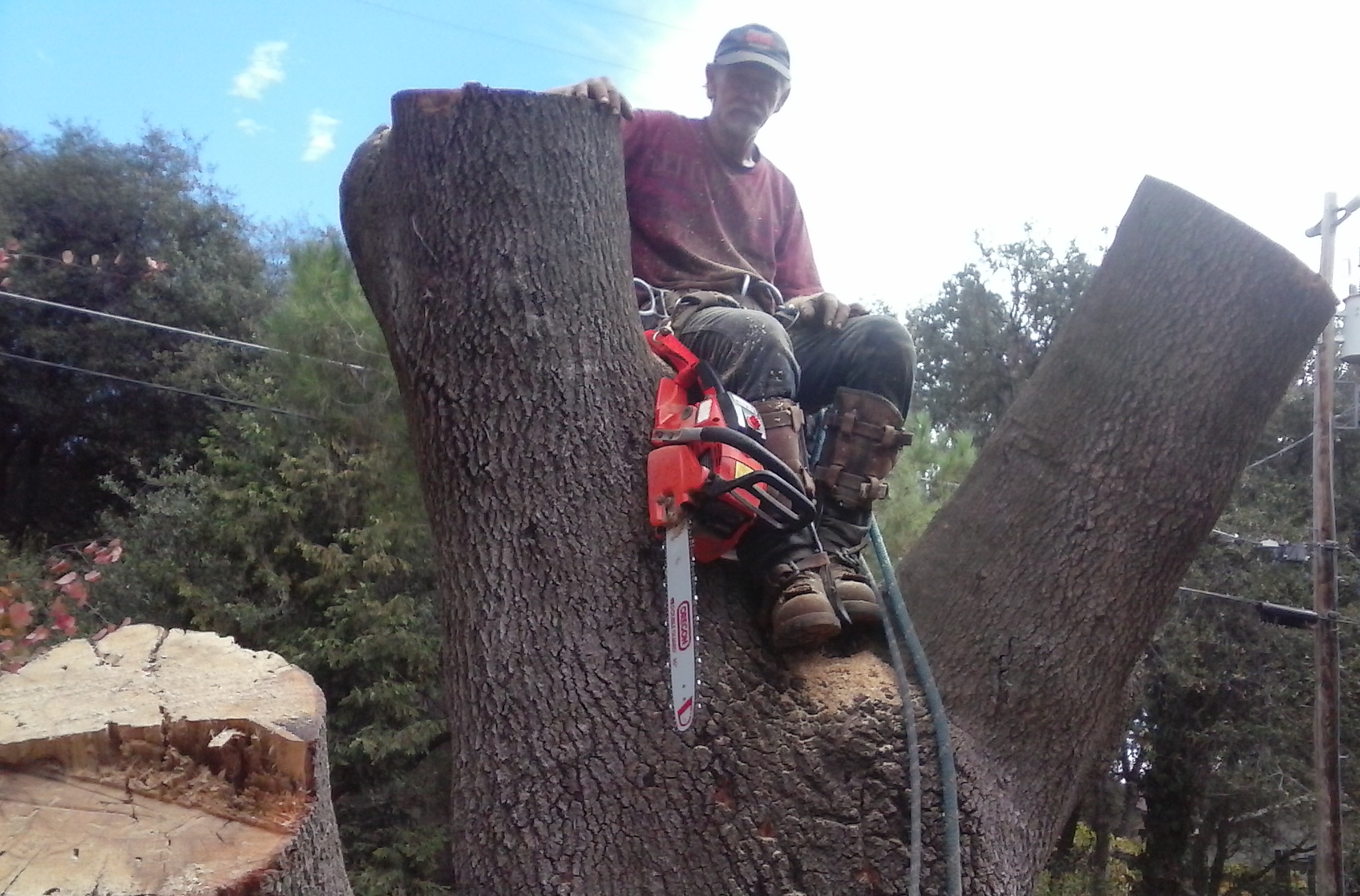 KINGS TREE SERVICE - Placerville, CA 95667