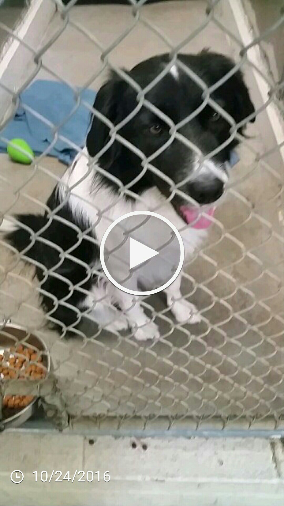 Lake County Humane Society - Mentor, OH 44060