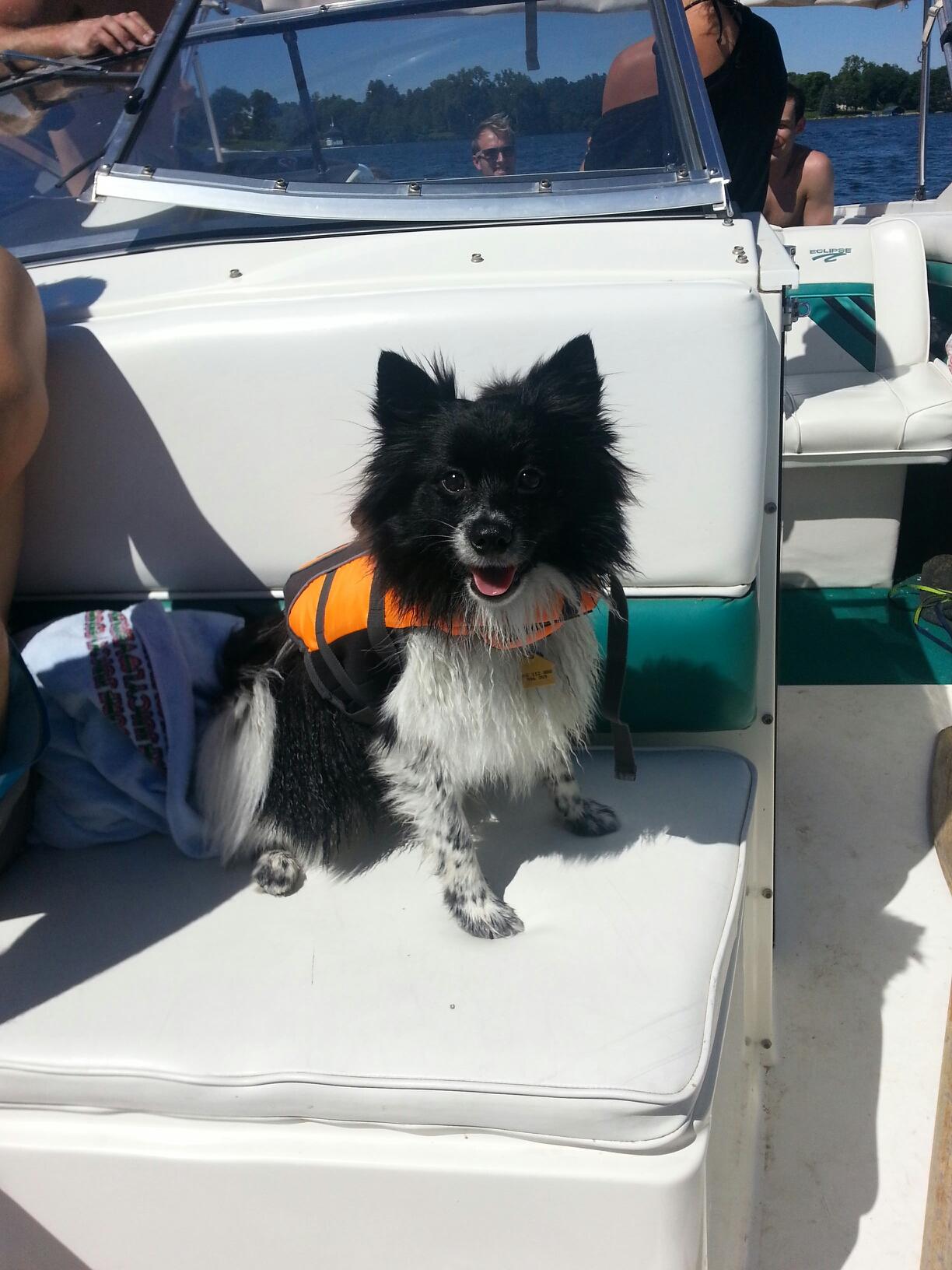 Lakeside Puppies - Brownton, MN 55312