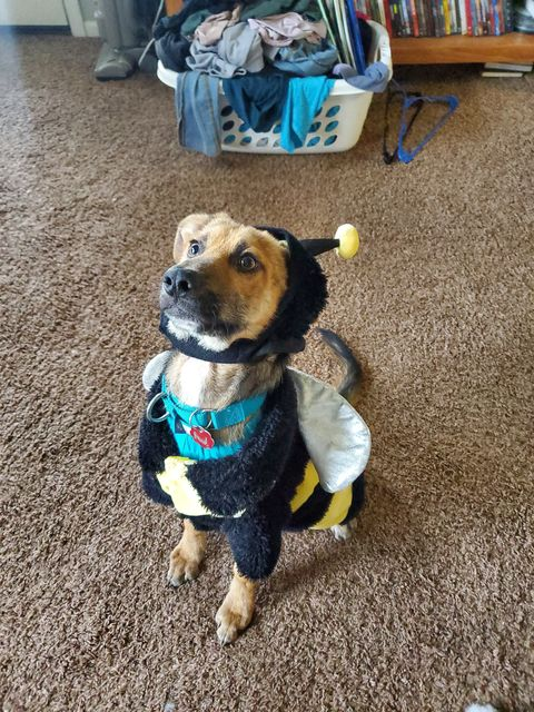 Natural Pet Center - Fargo, ND 58103