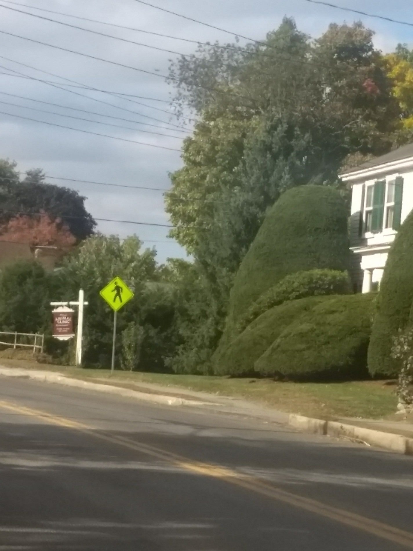 Adams Animal Clinic - Woburn, MA 01801