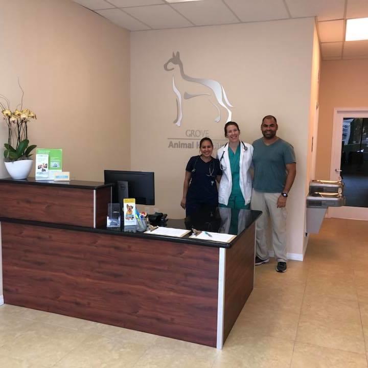 Grove Animal Hospital - Miami, FL 33133
