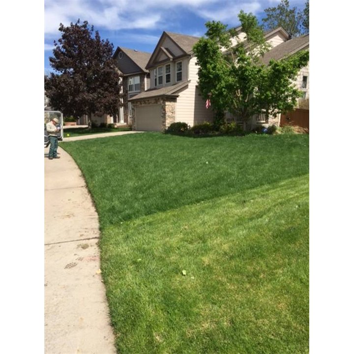 TruGreen Lawn Care - Plant City, FL 33566